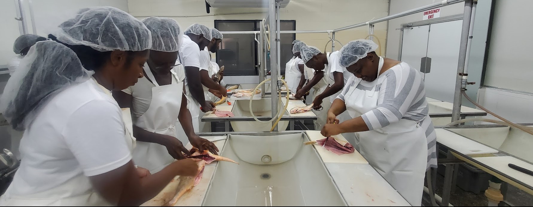 FISH PROCESSING TECHNOLOGY - Caribbean Fisheries Training and ...